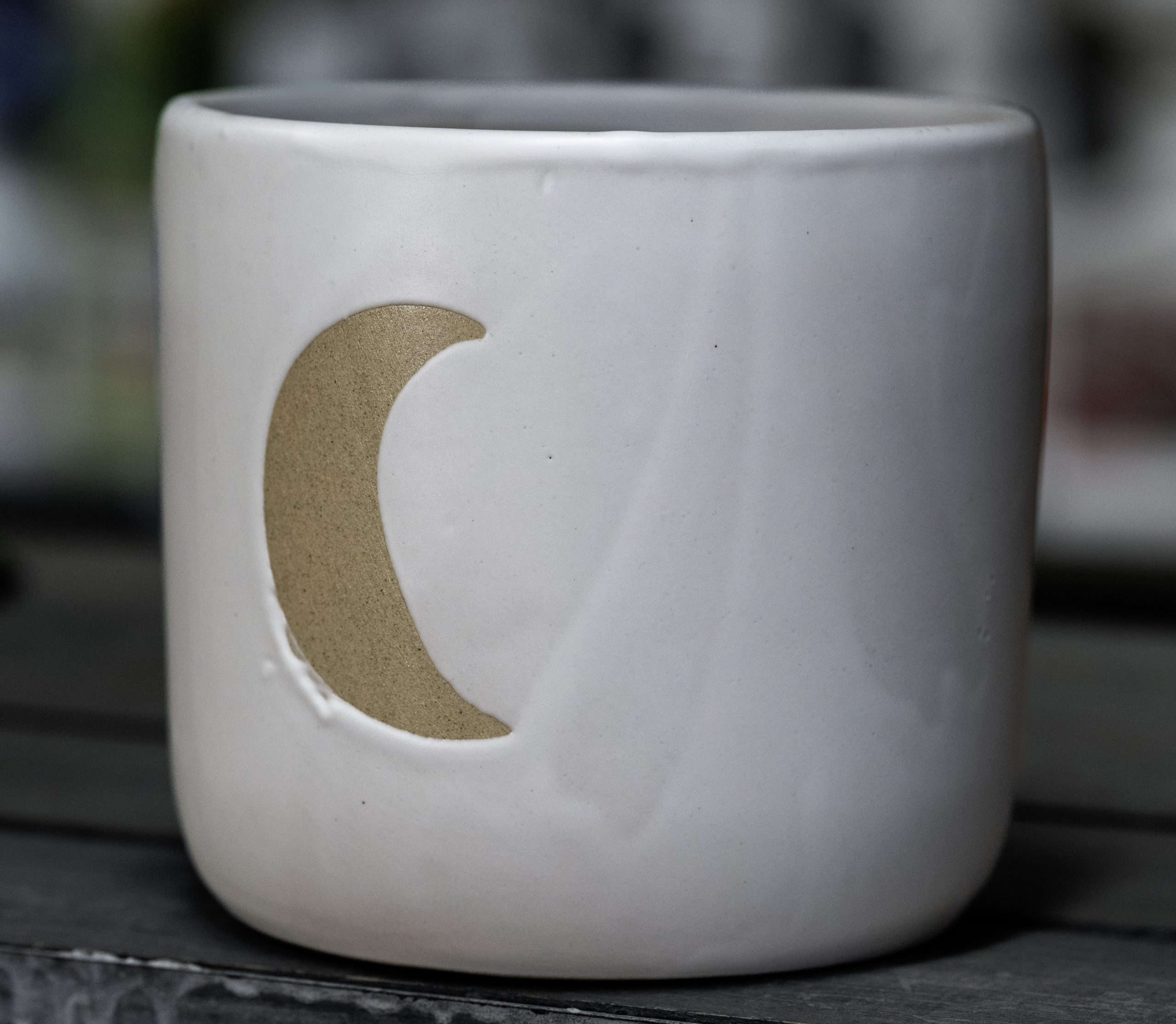 Cactus Jungle - San Francisco Bay Area - New Indoor Pottery