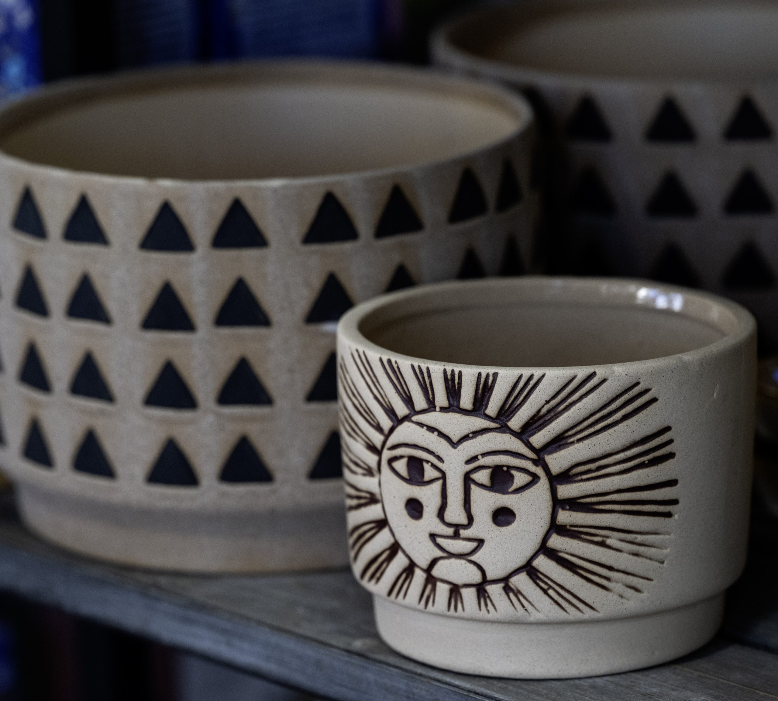 Cactus Jungle - San Francisco Bay Area - New Indoor Pottery